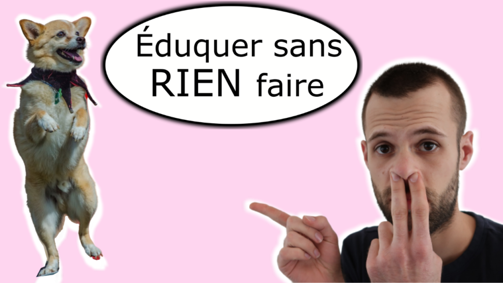 Comment éduquer son chien sans rien faire - J'adopte un chien Comment éduquer son chien sans rien faire - J'adopte un chien
