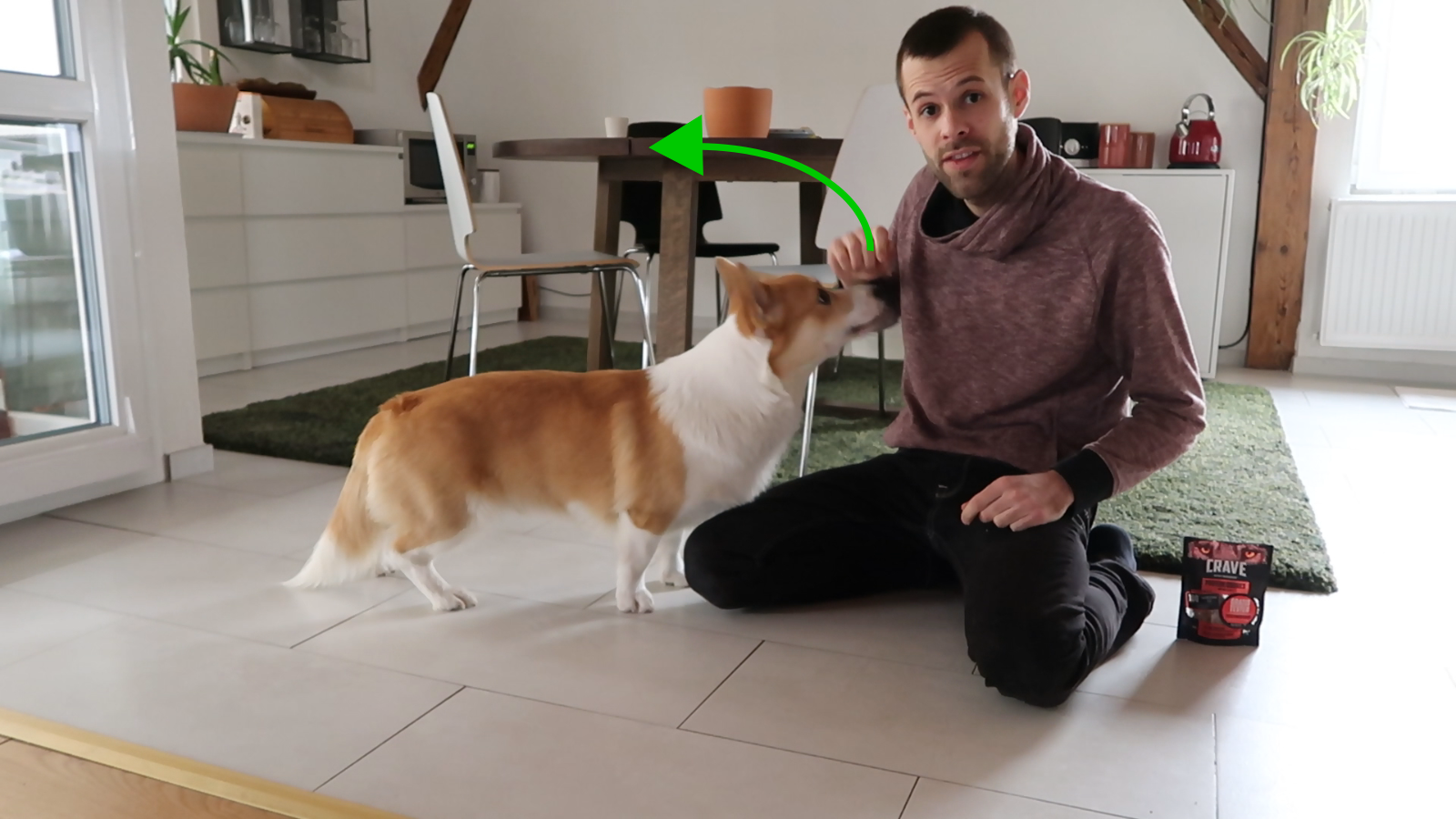Apprendre le Assis à son chiot : La méthode simple et efficace